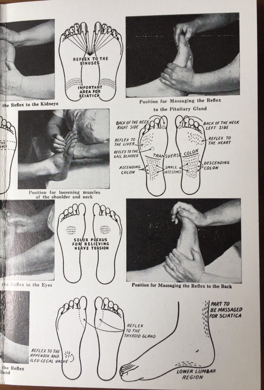 Ιστορία της Ρεφλεξολογίας - Σωματείο Επαγγελματιών Ρεφλεξολόγων